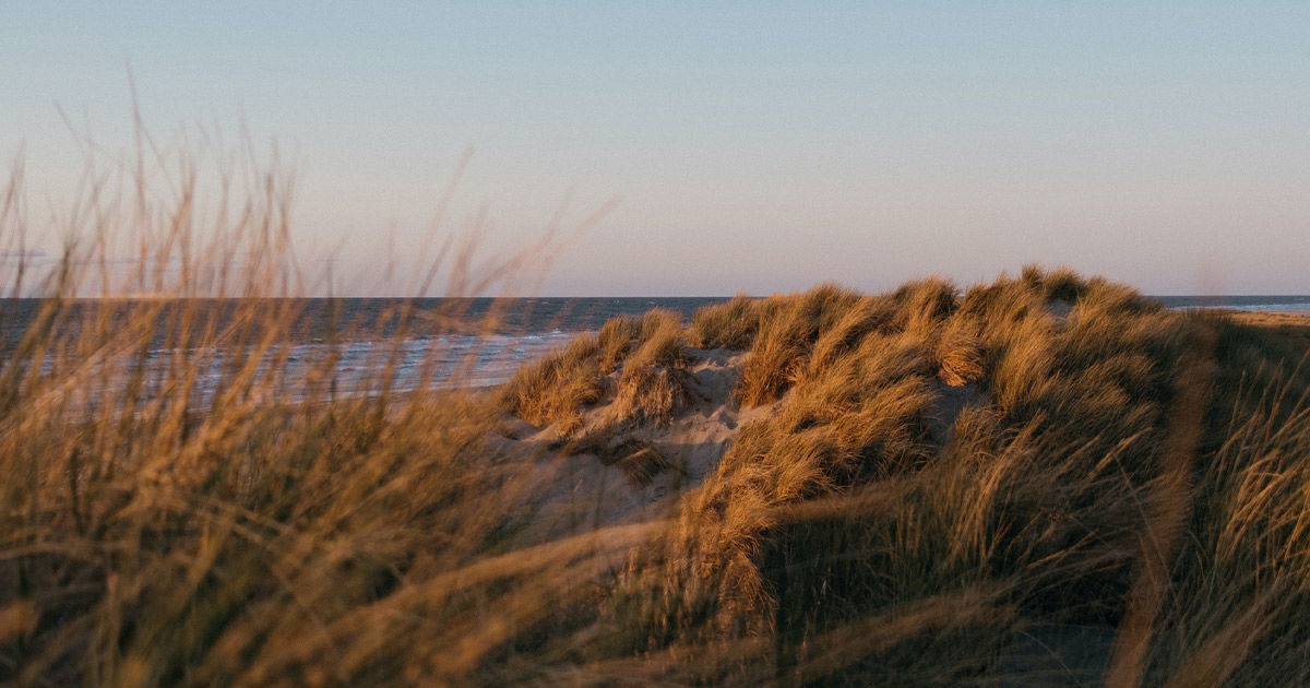 Eilandhoppen in Nederland: Van Texel tot Terschelling | Travel Diaries