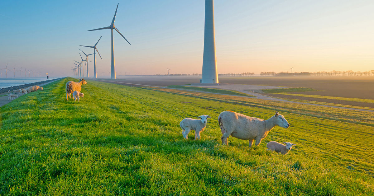 8 toffe bezienswaardigheden in Flevoland | Travel Diaries